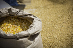Bunge | A Seamless Grain Marketing Experience